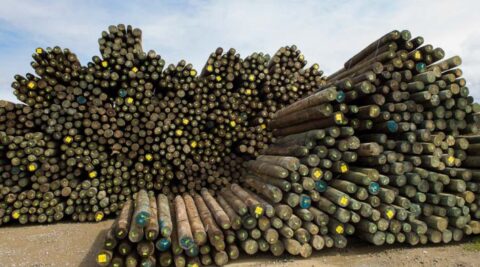 PRODUCTS | Stuart Timber NZ