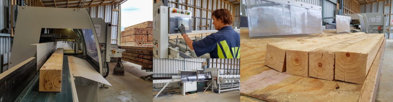 PROCESSES | Stuart Timber NZ