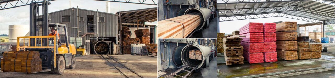 PROCESSES | Stuart Timber NZ